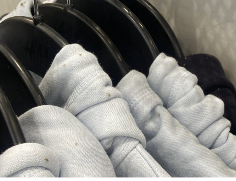 Trabajadora de H&M descubre piojos en la ropa