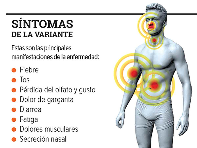 Avanza Xibalbá o "perro del infierno" variante de Covid-19 surgida en ...