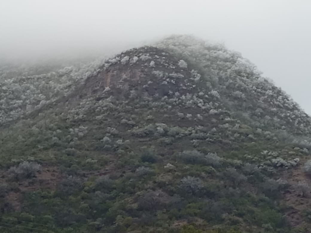 Aguanieve y hielo en partes altas de sierra d Victoria y el altiplano