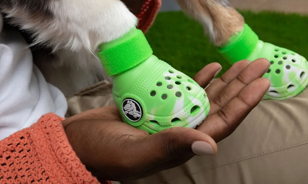 Crocs lanza nueva línea de botines para mascotas