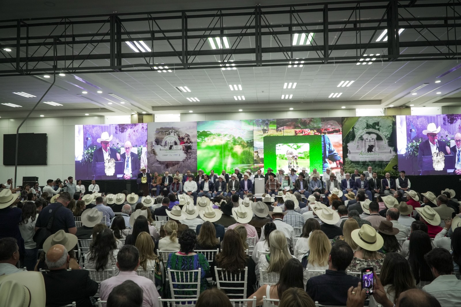 Ganaderos de México reeligen al tamaulipeco Homero García de la Llata ...