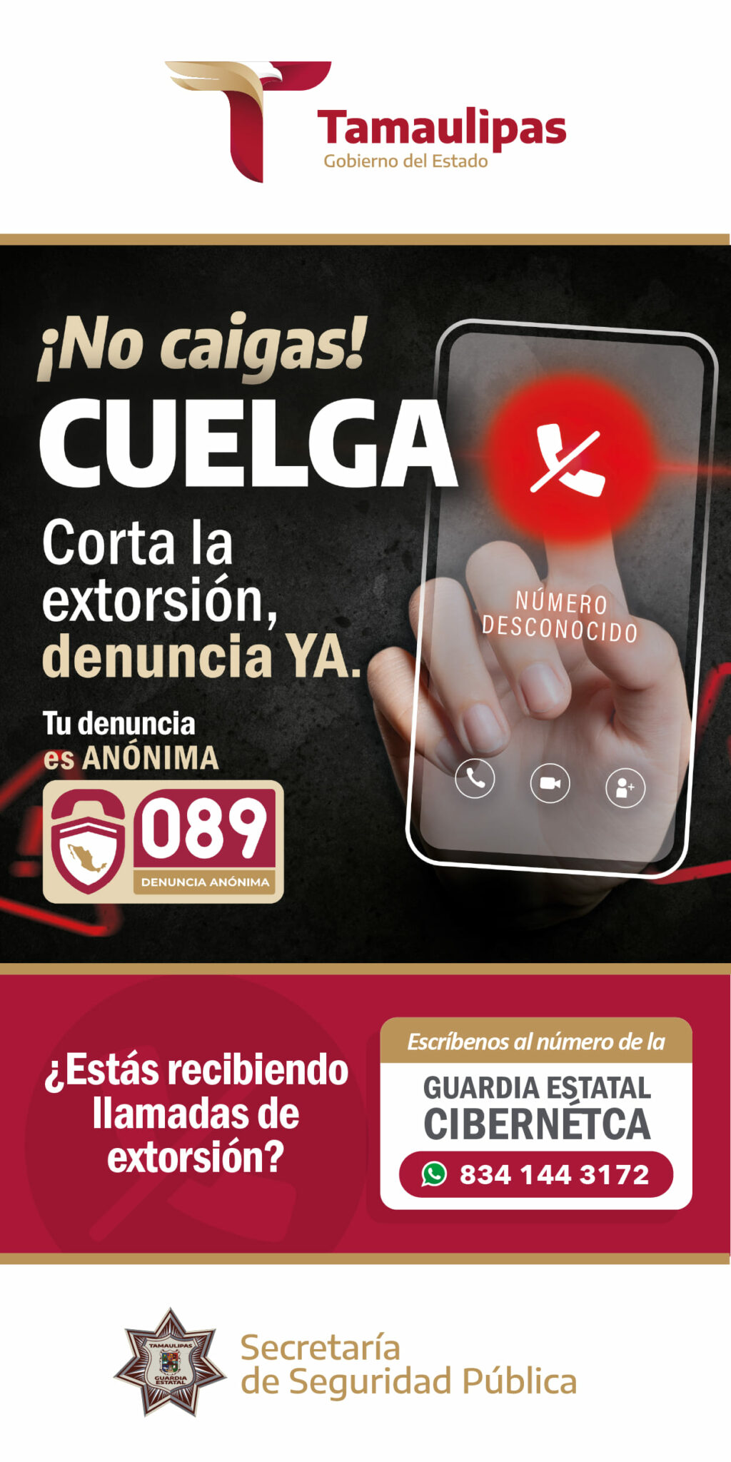 Estrenan 'Los Colorado', la nueva serie animada del Chapulín producida ...